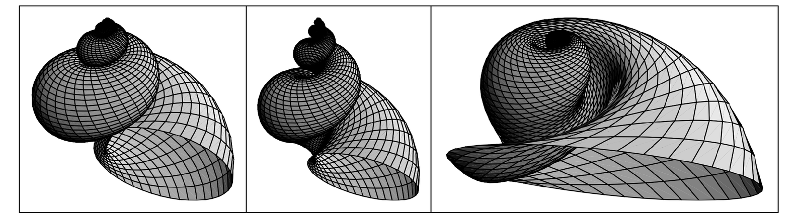 Note (e) for Growth of Plants and Animals: A New Kind of Science ...